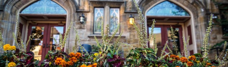 Contact Us - Union Project